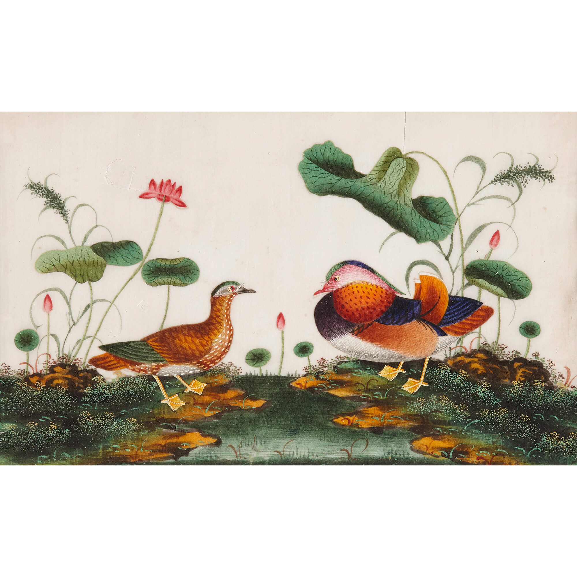 Set of twelve Chinese pith paintings depicting exotic birds | Mayfair ...