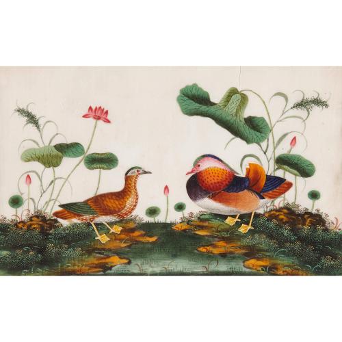 Set of twelve Chinese pith paintings depicting exotic birds | Mayfair ...
