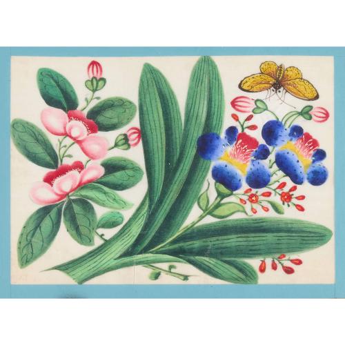 Set of twelve Chinese pith paintings with floral and butterfly designs ...