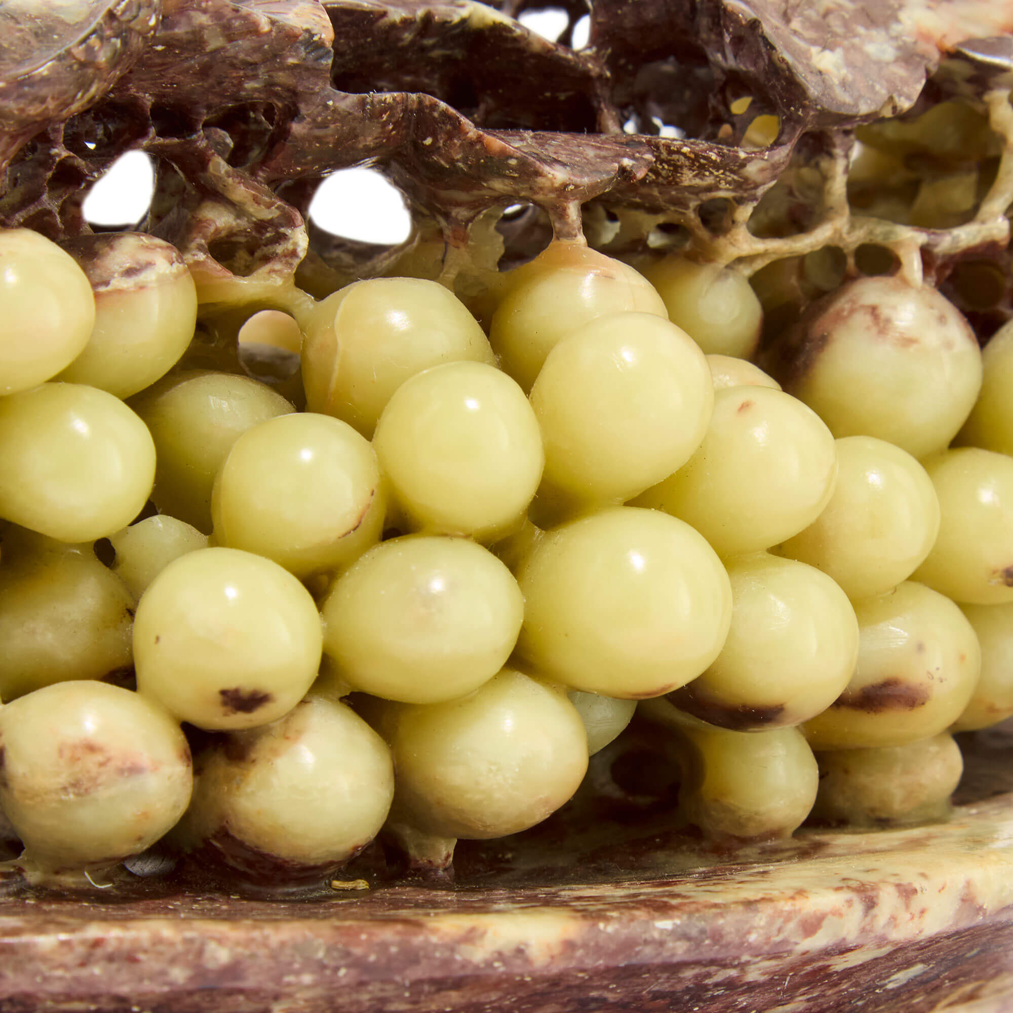 Chinese carved soapstone and jade model of grapes | Mayfair Gallery
